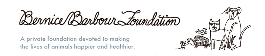 League for Animal Welfare | Our Programs | Spay/Neuter